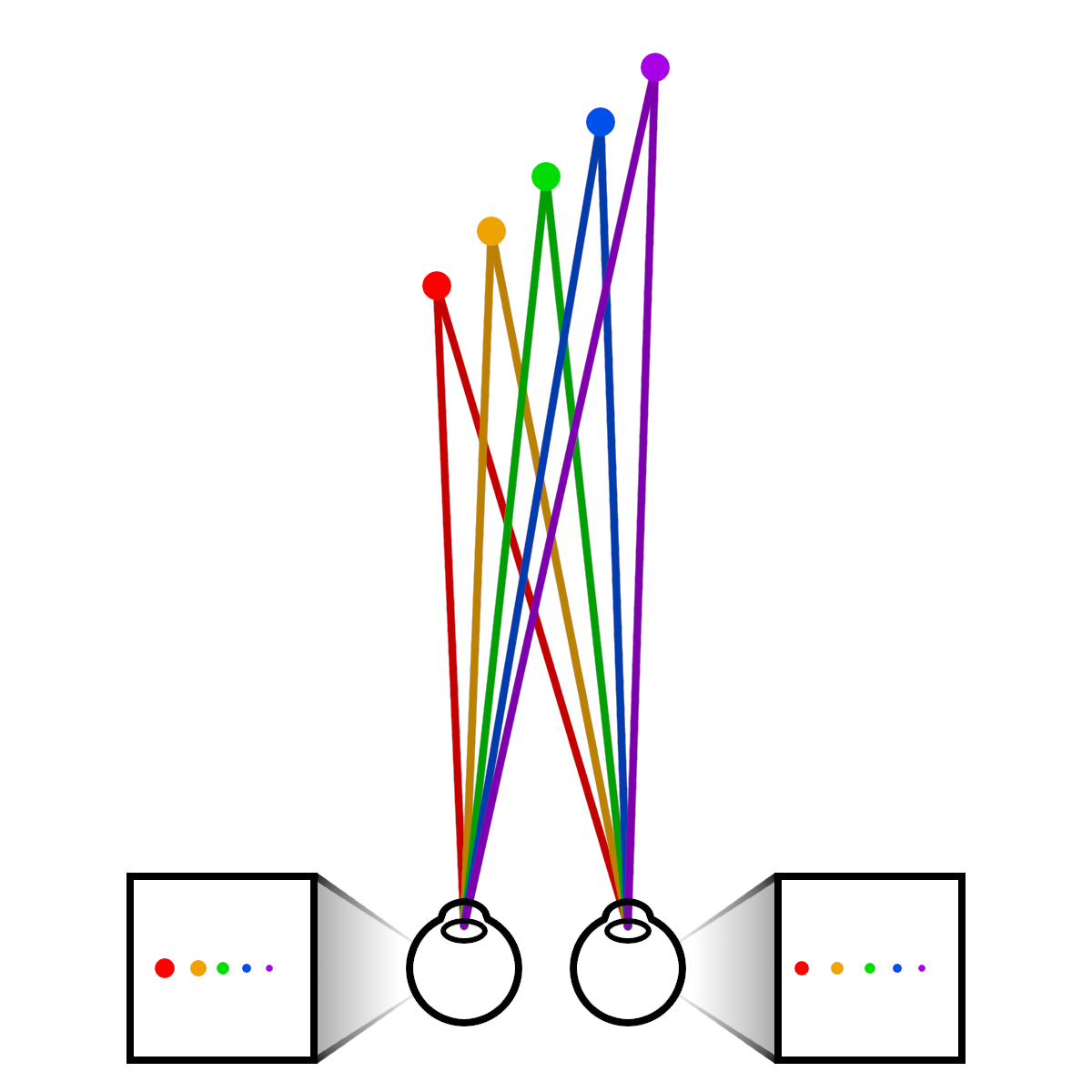 What Is Meant By Binocular Depth Cue At Michael Reiley Blog